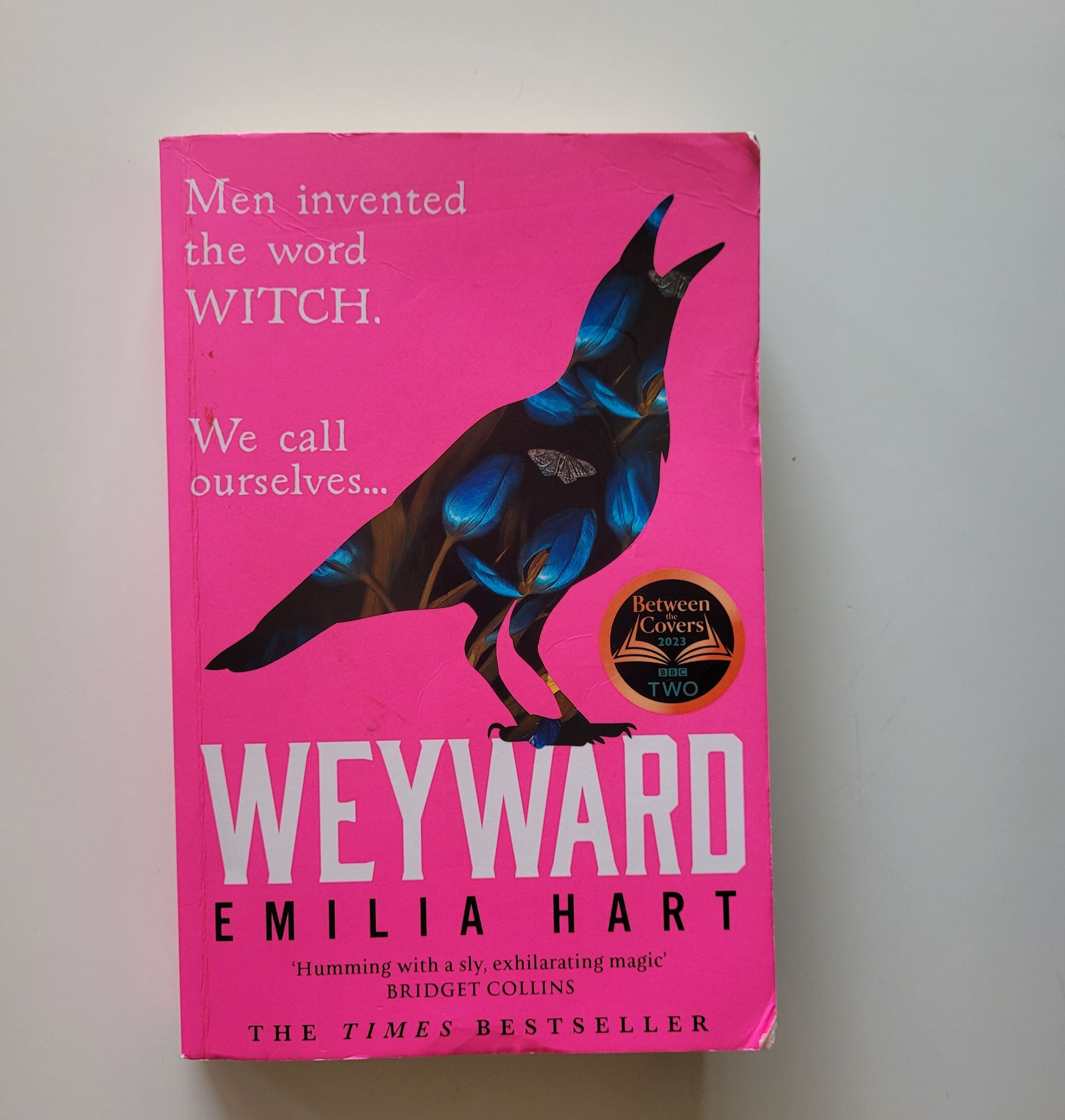 Book review: Weyward by Emilia Hart – three women, five centuries, one ...